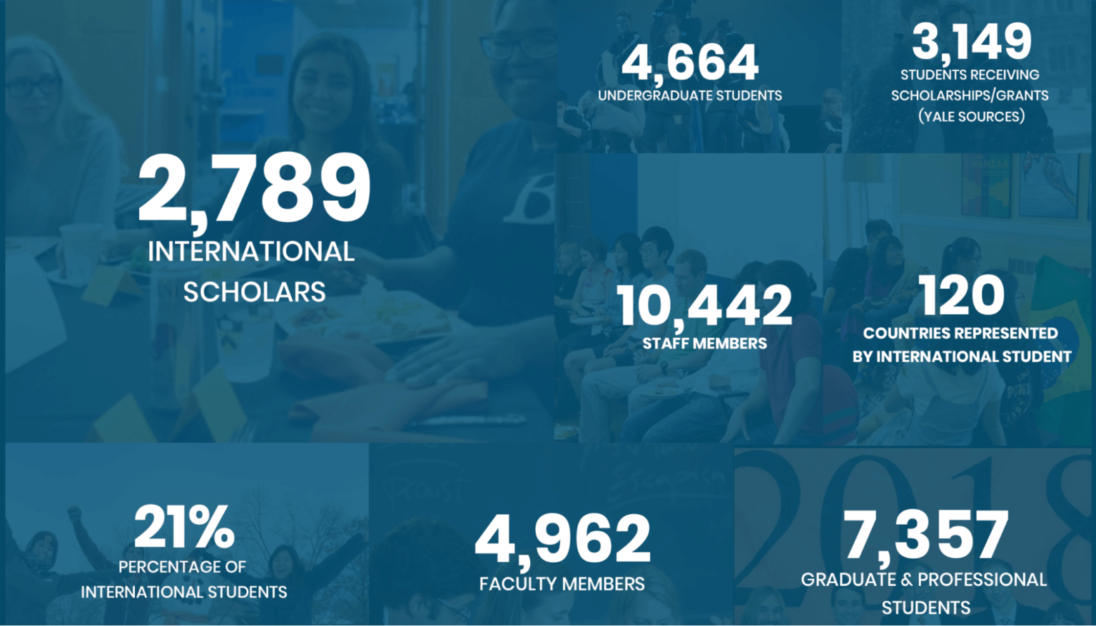 How To Get Into Yale: The Complete Guide - The Gradcafe