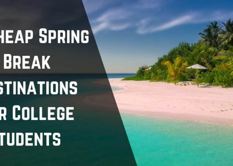 Student Life Archives - The Gradcafe