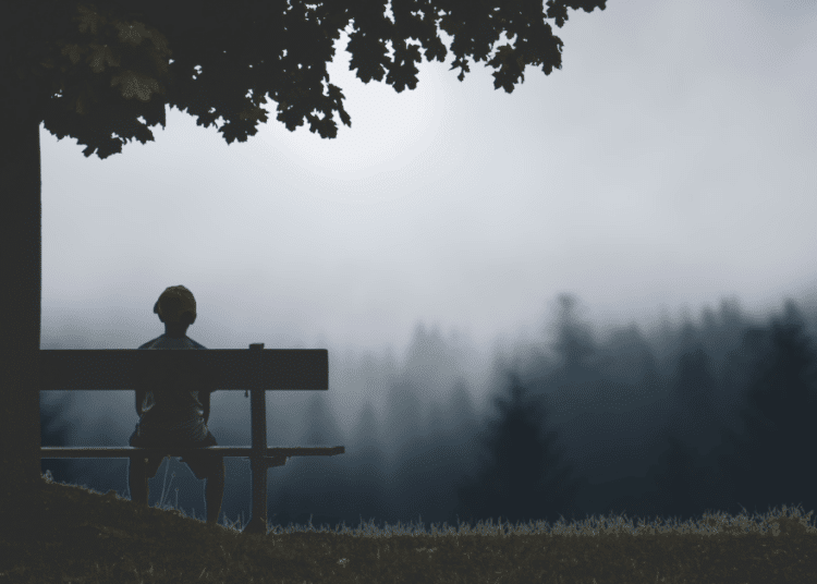 Interpreting Grad School Application Status Updates: A Clear Guide ...